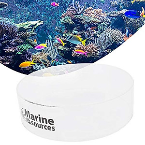 Coral Viewer Fish Tank Acrylic Coral Observe Lense Aquarium Fish Photograph Cylinder Magnifier for Viewing Coral and Taking Pictures 150mm