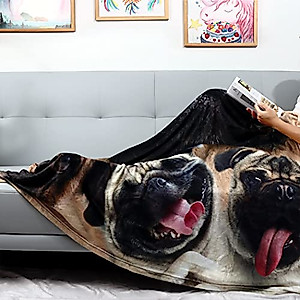 SXCHEN Blankets Plush Sofa Bed Throw Blanket Funny Pug Dogs Pet Animal 60"x80"