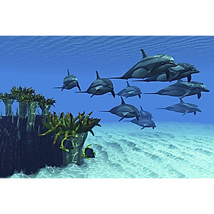 Posterazzi Two pennant fish scamper away as a pod of striped dolphins race Poster Print by a reef of anemones, (34 x 23)