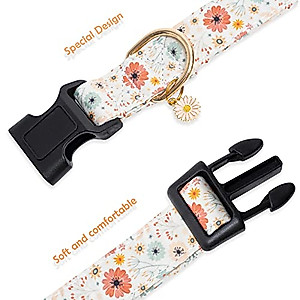Faygarsle Cotton Designer Dogs Collar Cute Flower Dog Collars for Girl Female Small Medium Large Dogs with Flower Charms L