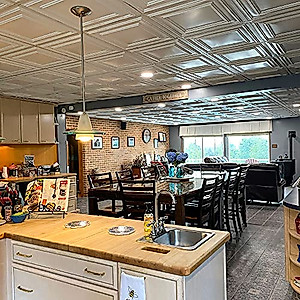 From Plain To Beautiful In Hours 232 Economy PVC Lay-in Ceiling Tile 2 ft. x 2 ft., White, 10 Pack