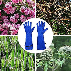 GLOSAV Professional Thorn Proof Gardening Gloves for Women and Men Rose Pruning & Cactus Trimming, Long Sleeve Heavy Duty Ladies Garden Gloves, Cowhide Leather (Small, Blue)