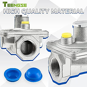 TEENGSE Natural Gas Pressure Regulator, 3/4" FNPT Thread Gas Propane Pressure Regulator, Adjustable LPG/NG Grill Regulator for NG/LPG Applications