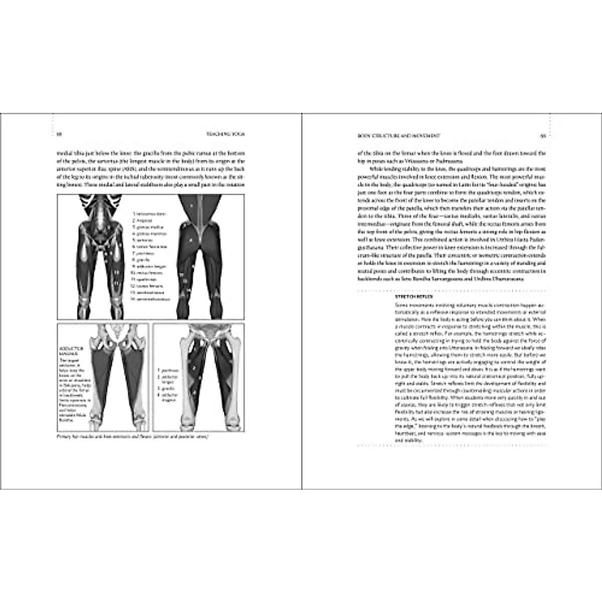 Teaching Yoga: Essential Foundations and Techniques