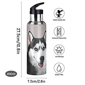 Oarencol Husky Dog Water Bottle Cute Animal Stainless Steel Vacuum Insulated Thermos with Straw Lid 20 Oz