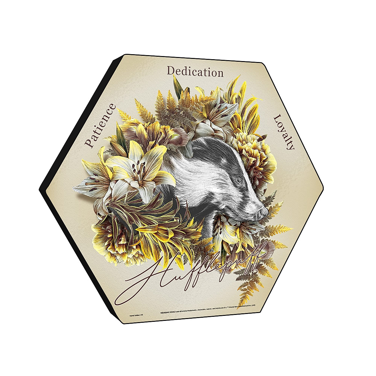 Trend Setters Harry Potter - Hufflepuff - Utilitarian Romance - 11.5” X 10” Hexagon KNEXAGON Wood Print – Tabletop Display, Hang Alone or Connect to Other Pieces – Officially Licensed Collectible