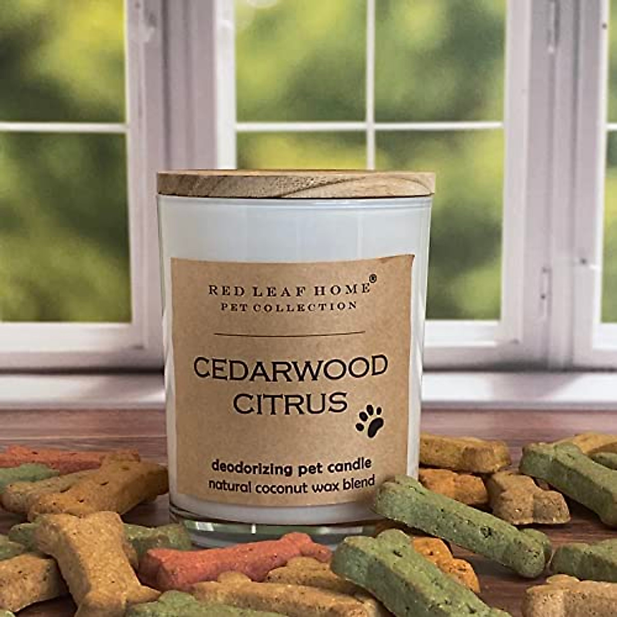 Red Leaf Home | Cedarwood Citrus Pet Deodorizing Jar Candle | Large | Gift, Perfect for Dog & Cat Owners | Contains DeoBoost | 15.5oz