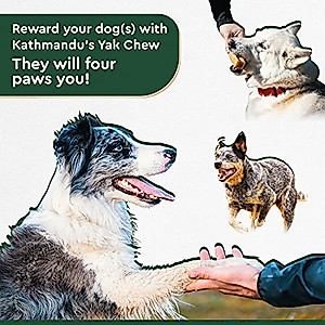 KATHMANDU'S - Authentic Himalayan Yak - Natural Dog Chew, Large to XLarge, 4-Count