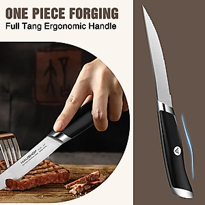 HAUSHOF Steak Knives Set of 6, German Stainless Steel Premium Serrated Steak Knife Set with Gift Box, Full Tang Design with Ergonomic Handle, Gifts Knife Set for Dad, Mom, Husband and Wife