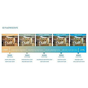 GE Lighting (Pack of 4) Fluorescent F20T12 Daylight, 24 inch, 20 watt T12, Fluorescent Light Bulb