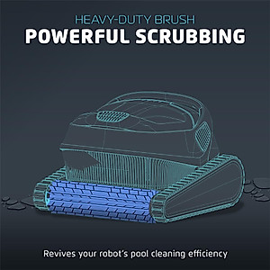 Dolphin Genuine Replacement Part — Rear Blue Brush Kit — 99955381-ASSY