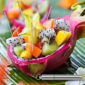 XINYUWIN Mini Pocket Toothpick Holder with 6PCS Reusable Titanium Toothpicks, Portable Outdoor Stainless Steel Toothpick Fruit Picks with Keychain for Camping Picnic