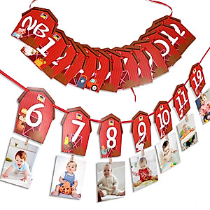 Farm Animal Theme Photo Banner 1st Birthday Monthly Banner Newborn to 12 Month Photo Display Milestone Photograph for Barnyard First Birthday Party Decorations Supplies