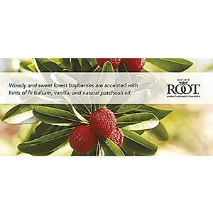 Root Candles 20-Hour Scented Beeswax Blend Votive Candles, 18-Count, Bayberry