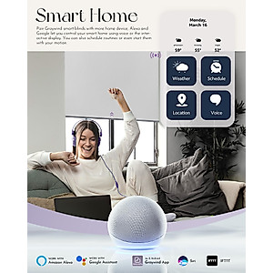 Graywind Motorized Roller Shades Work with Alexa Google Smart Blackout Shades with Remote Insulated Triple Weaved Fabric Window Blinds with Valance for Smart Home Office, Customized Size (Dark Grey)