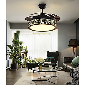 Fandian 42In Modern Ceiling Fan with Lights Remote Control Chandelier Lighting Fixtures Silent Retractable Blades, 3 Light Colors, Black Bird Nest Fandelier for Living Room, Bedroom