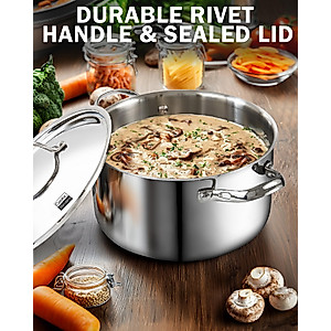 Cooks Standard Multi-Ply Clad Stainless Steel Stock Pot, 7-Quart Pasta Cooking Canning Dutch Oven Pot with Lid, Deep Stockpot Induction Cookware