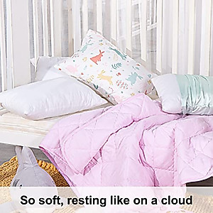 NTBAY 2 Pack Cotton Down Alternative 13x18 Toddler Pillows, Machine Washable - Soft and Breathable Baby Travel Small Pillows for Sleeping, Ideal for Daycare, Crib, Cot