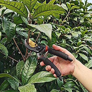 Lopper Hedge Shear & Pruner Combo Set, YRTSH 3-Piece Gardening Tool, Heavy Duty Tree & Shrub Care Kit for Yard, Garden & Lawn, Professional Hedge Clippers Tree Trimmer for Indoor & Outdoor Gardening