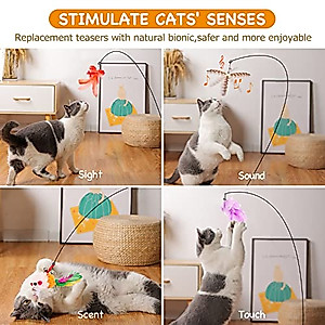 HOSFROLL Cat Toys Wand, Interactive Cat Toy with Super Suction Cup Sticky Detachable 12 PCS Feather Replacements 2 Wands Cat Spring Feather Toys for Indoor Cats Kitten Toys (8 Toys Double Headed)