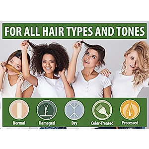 LuxeOrganix Moroccan Argan Oil Conditioner - SLS Sulfate Free, Keratin & Color Safe - Solon Grade Moisturizing Anti-Frizz Formula (16 oz Single Conditioner)