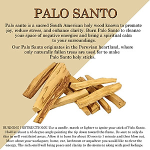 SOUL STICKS Beginners Mini Smudge Kit Includes White Sage 3-4 Abalone Shell Selenite Wand and Palo Santo with Smudging Guide