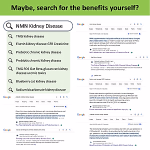 Eventually Young 12-in-1 Kidney Support for Dog & Cat with NMN & Fisetin - Super Phosphate Binder Kidney and Liver Supplement for Feline, Canine Healthy Aging & Longevity (60 Capsules)