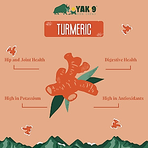 Yak9 Cheese Dog Chews, High Protein Dog Treats, Natural, Rawhide Free, Long Lasting Dog Chews With Vitamins & Minerals for Joint Support, Dog Treats for Large Breeds Under 125 Lbs, Turmeric, 1 pc