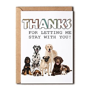 Thanks For Letting Me Stay With You - Dog Sitter Gift - Card From Dog - Dog Thank You Card - Gift For Pet Sitter - Dog Lover Gift Card, 5 x 7 inches