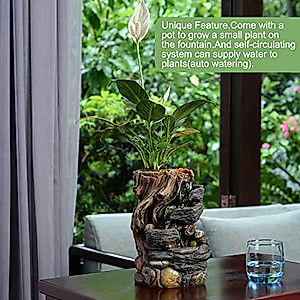 GOSSI Indoor Fountain Decorative 5-Tier Rockery Tabletop Fountains with a Small Plastic Pot to Grow The Plant by Yourself(Auto Watering)(22021)