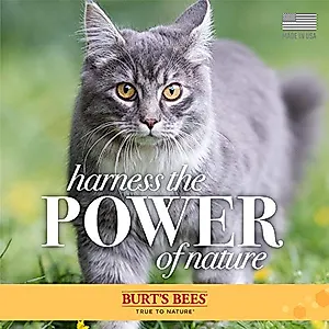 Burt's Bees for Pets Cat Hypoallergenic Cat Shampoo with Shea Butter & Honey | Best Shampoo for Cats with Dry or Sensitive Skin | Cruelty Free, Sulfate & Paraben Free, pH Balanced for Cats - 10oz