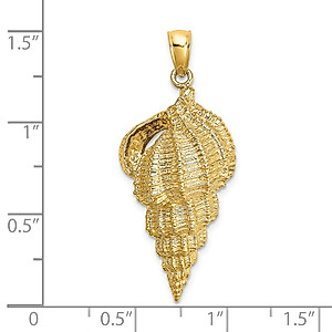 Solid 14k Yellow Gold 2-D COMMON WENTLETRAP SHELL Charm Pendant - 13mm x 16mm
