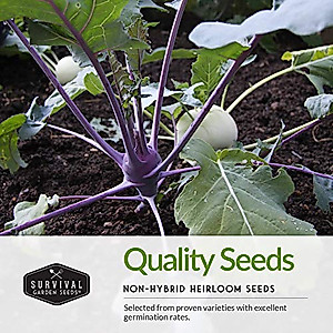 Survival Garden Seeds Exotic Vegetable Collection - Purple Vienna Kohlrabi, Lemon Cucumber, Watermelon Radishes, Opal Basil, Strawberry Popcorn, Tendersweet Orange Watermelon Non-GMO Heirloom Seeds