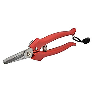 Clauss 33403 6-inch Stainless Steel Floral Lanyard 6" Cutter