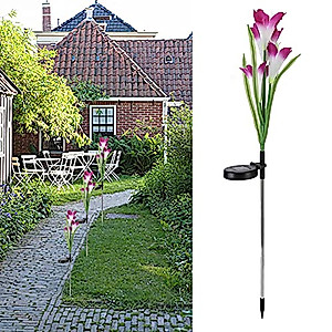 MIGONG Solar Garden Lights, Waterproof Garden Lights Outdoor Solar Lights Outdoor Garden Solar Garden Stake Lights for The Garden Trees Flowers Flowerbed Fence Walkway (Purple Color)