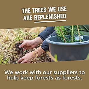 Vanity Fair Entertain Paper Napkins, 40 Count, Disposable Napkins Made For Entertaining And Events