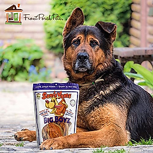 Sams Yams Sweet Potato Dog Treats, Healthy Dog Treats for Large Dogs - Sweet Potato Dog Treats Made in USA, High Fiber, Vegan Dental Chews - Big Boyz, Sweet Potato Dog Chewz, 15oz (Single Pack)