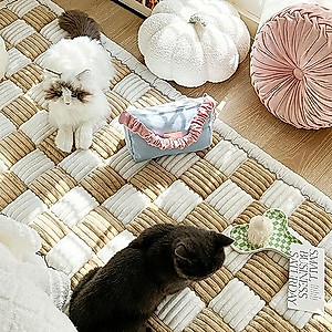 Cream-Coloured Large Plaid Square Pet Mat Bed Couch Cover, Cosy Plush Couch Cover Non Slip Floral for Pets Dogs Bed (Style-4, 27.6x59.06 in)