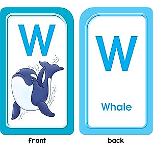School Zone - Alphabet Match Flash Cards - Ages 4 and Up, Preschool to Kindergarten, ABC's, Letters, Matching, Beginning Sounds, Letter-Picture Recognition, and More