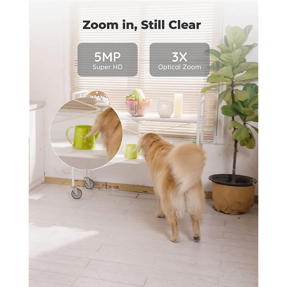 REOLINK 5MP Plus 3X Optical Zoom Camera Bundle for Indoor and Outdoor, 2.4/5Ghz WiFi Camera, Pan Tilt, Two-Way Talk, SD Card Storage, Real-Time Alerts