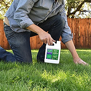 Commercial Grade Lawn Energizer Iron Nitrogen Micronutrient Booster - Liquid Turf Concentrated Fertilizer - Lawn, Garden, and Indoor Plants - Any Grass Type - Simple Lawn Solutions- 1 Quart
