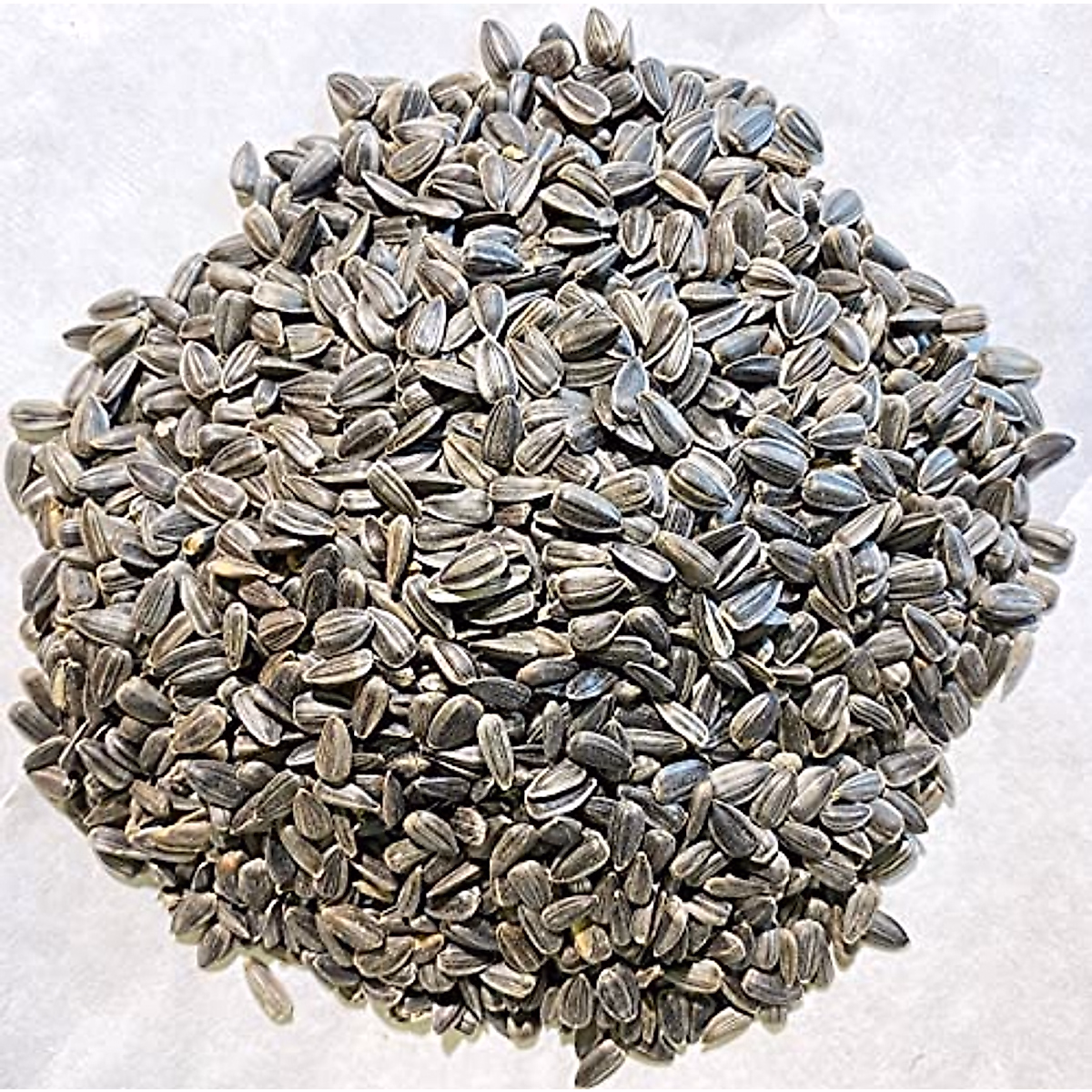 Prairie Melody(TM) Premium Black Oil Sunflower Bird Seed, Pesticide Free, 12-Pound Bag