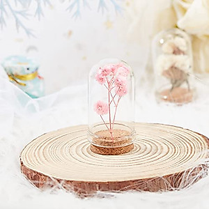 BENECREAT 20 Pack Glass Jars Bottles 9ml Dome Cloche Cover Decoration Bottles with Cork Stoppers for Party Favors, Arts, Halloween Christmas Decor