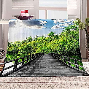 NARBOR Soft Fleece Throw Blanket - Fluffy Microfiber Solid Blankets for Bed and Couch Double/Single Size - 59X79Inch Wooden Bridge Trees Landscape Printed Flannel Blanket for Bed, Couch and Sofa