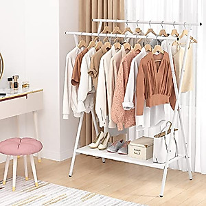 Laiensia Double Rods Clothing Racks, Portable Clothing Hanging Garment Rack with Bottom Oxford Cloth Shelves, White