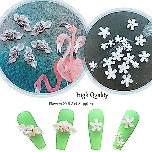 CQ zagir 140 Pcs 3D Flower Nail Art Charms White Nail Charms for Acrylic Nail Supplies Luxurious Mixed Nail Art Rhinestones Nail Gems Nail Accessories DIY Nail Decorations