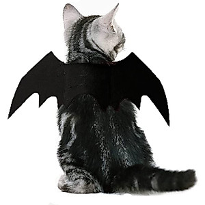 Pet Cat Bat Wings for Halloween Party Decoration, Puppy Cosplay Bat Costume, Cute Kitten Cat Dress Up Accessories
