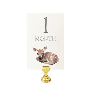Weekend Paper Co.™ Baby Animals Milestone Cards, baby monthly marker for an expecting mother or new mother, baby gifts or shower registry.