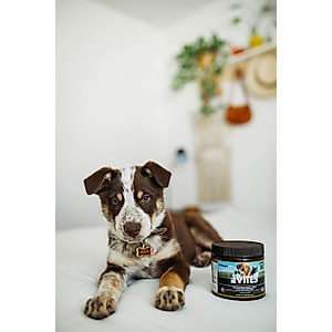 BiologicVET - BioVITES Multivitamin Powder for Cats & Dogs, Essential Vitamins, Minerals & Enzymes, Supports Your Pets Digestion and Immune System, 106-day Supply for 60-lb. Animal, 3.5-lb. Powder