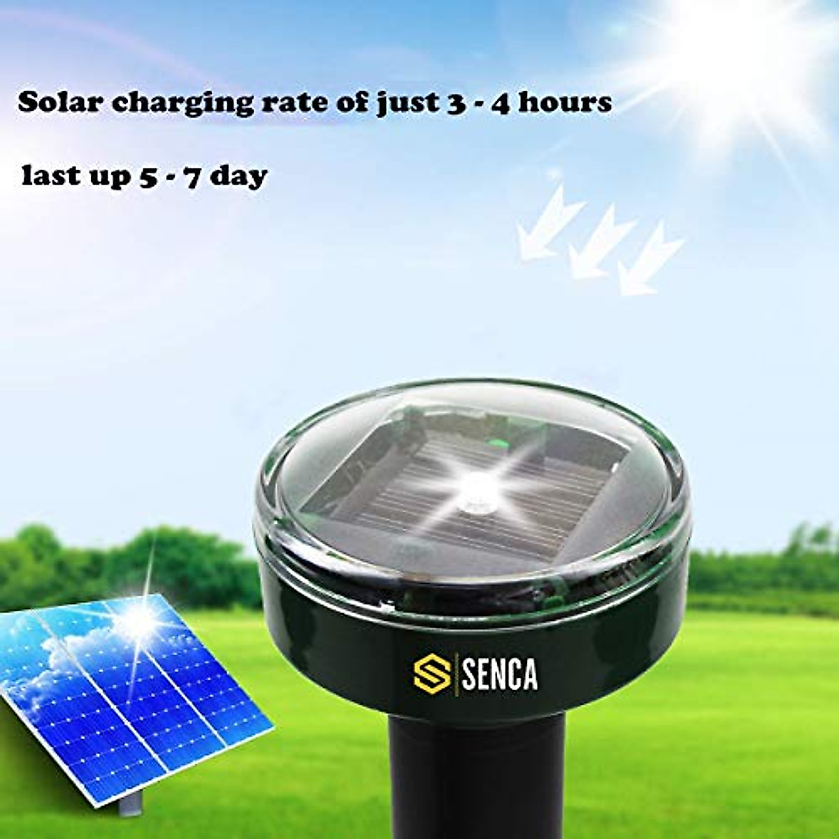 Senca 2 in 1 Solar Waterproof Outdoor Pathway Light Powered Sonic Pest Repellent, 4 Pack, Repel Mole, Gopher, Snake, Vole, Mouse for Lawn Garden Yards, Backyard, Humane Pest Control